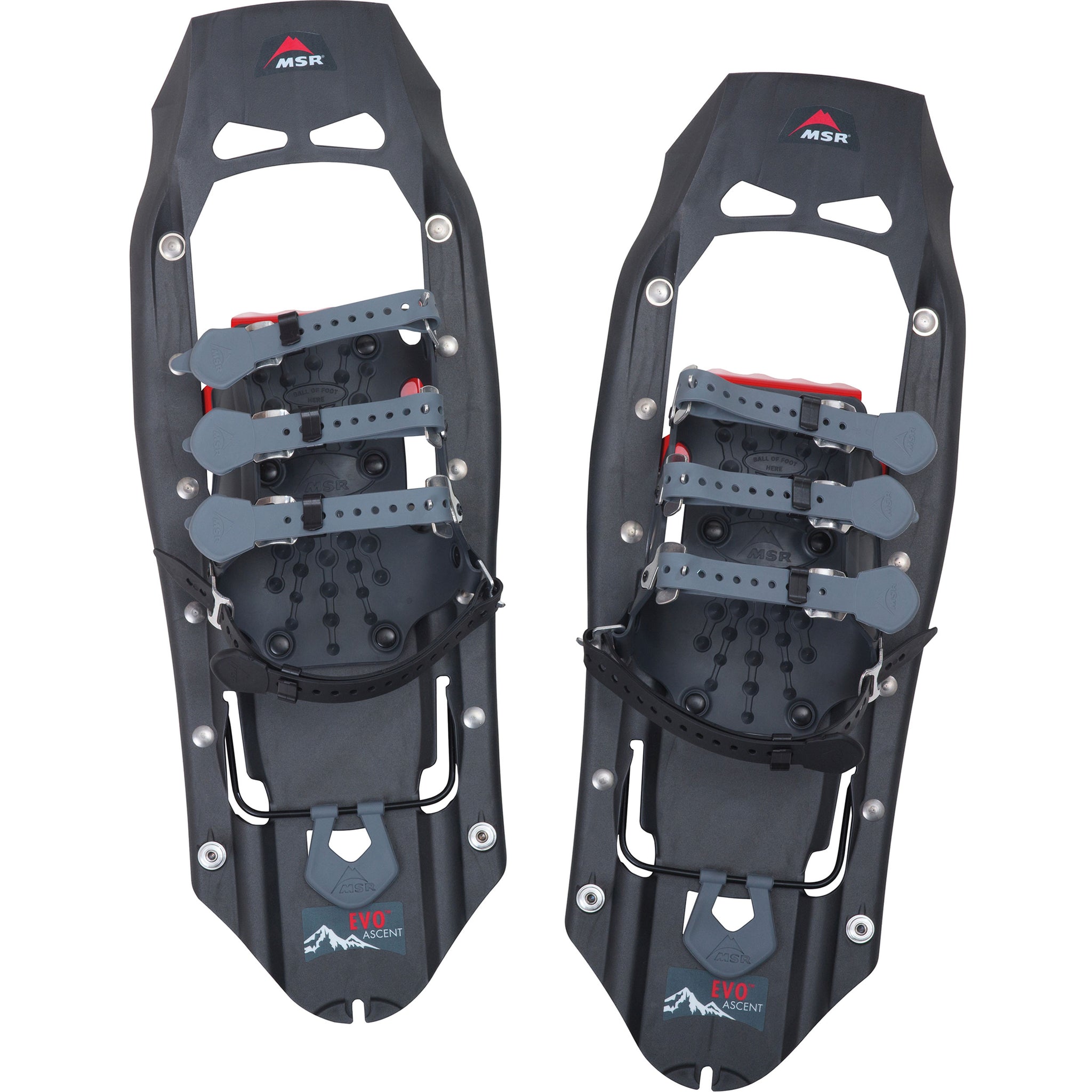 Evo Ascent MSR Snowshoes - Elite Performance & Value | MSR – Cascade ...