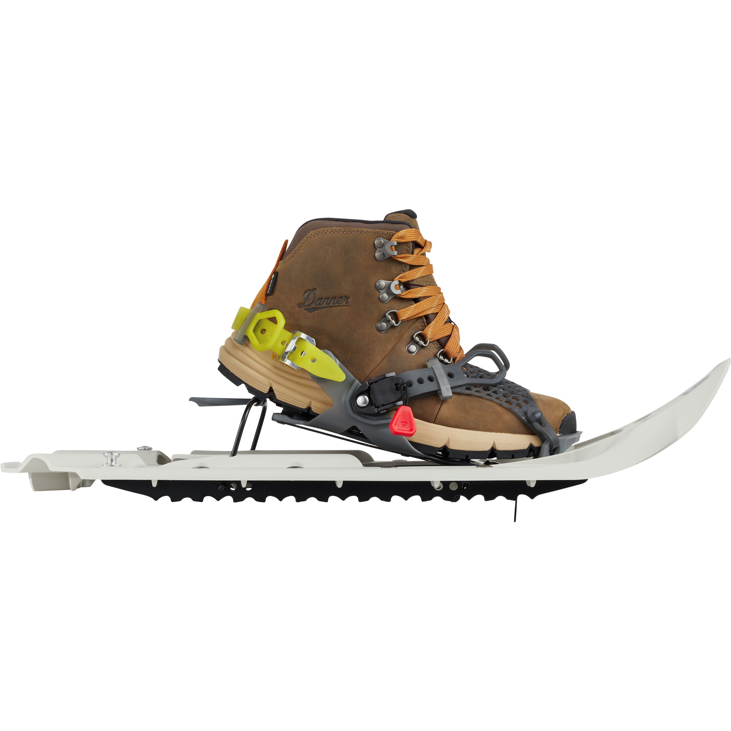 Women's Evo Explore Snowshoes | Explore Series Snowshoes | MSR ...